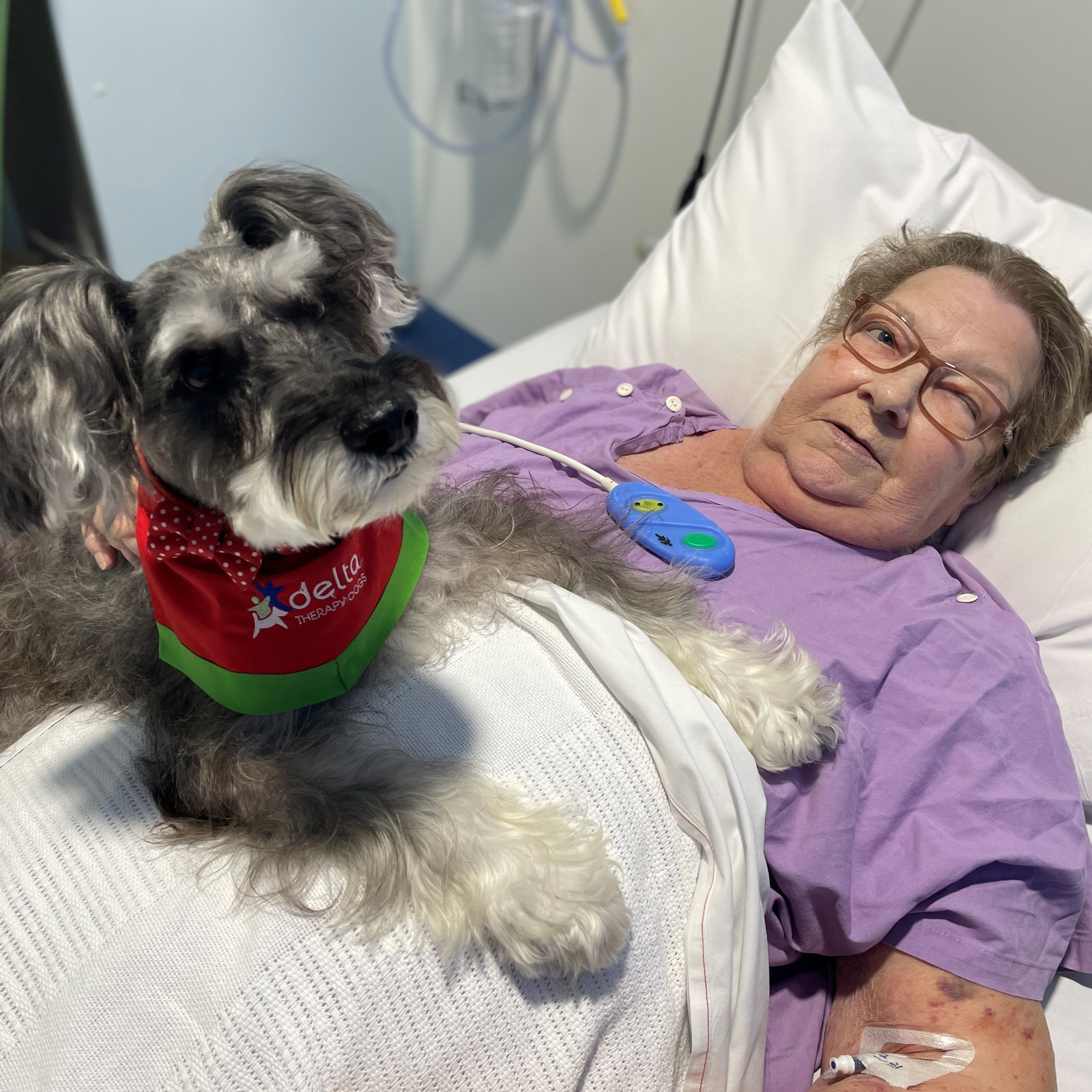 RBWH Foundation : Project: Patient Centred Therapy Dog Program